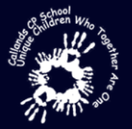 Testimonials — Primary Languages Network