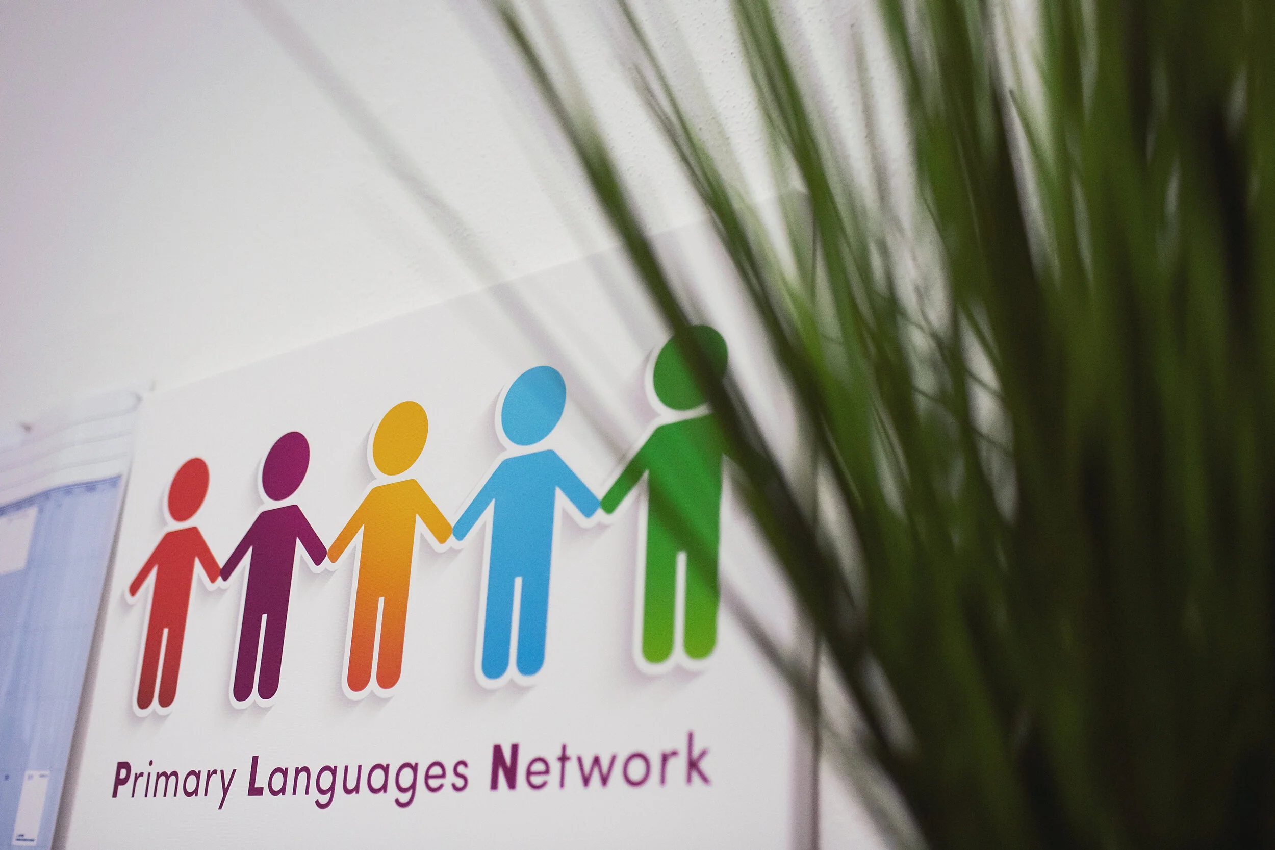 Network Membership — Primary Languages Network