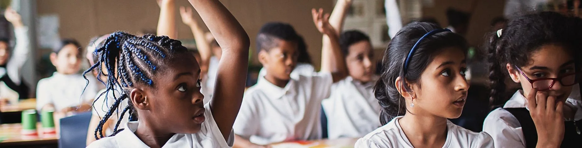 Primary Languages Network