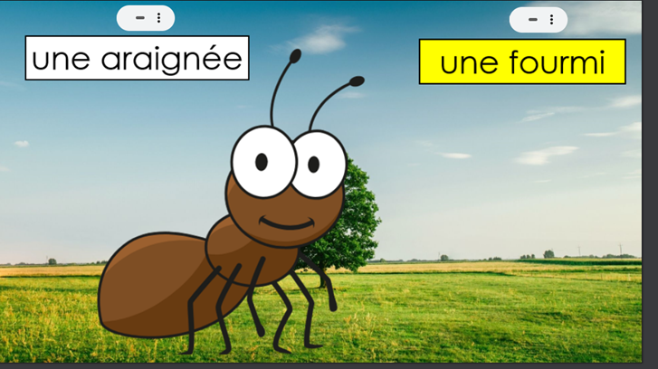 PLN Blog — Primary Languages Network