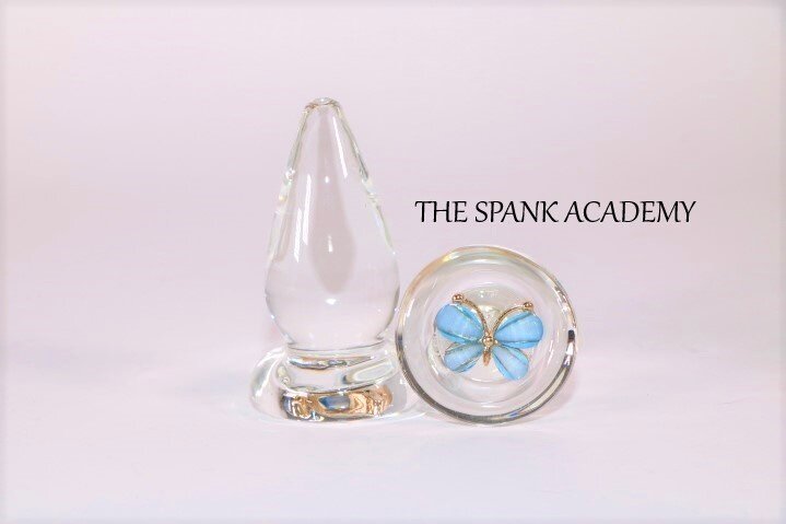 Pyrex Glass Anal Wand with O-Ring — The Spank Academy