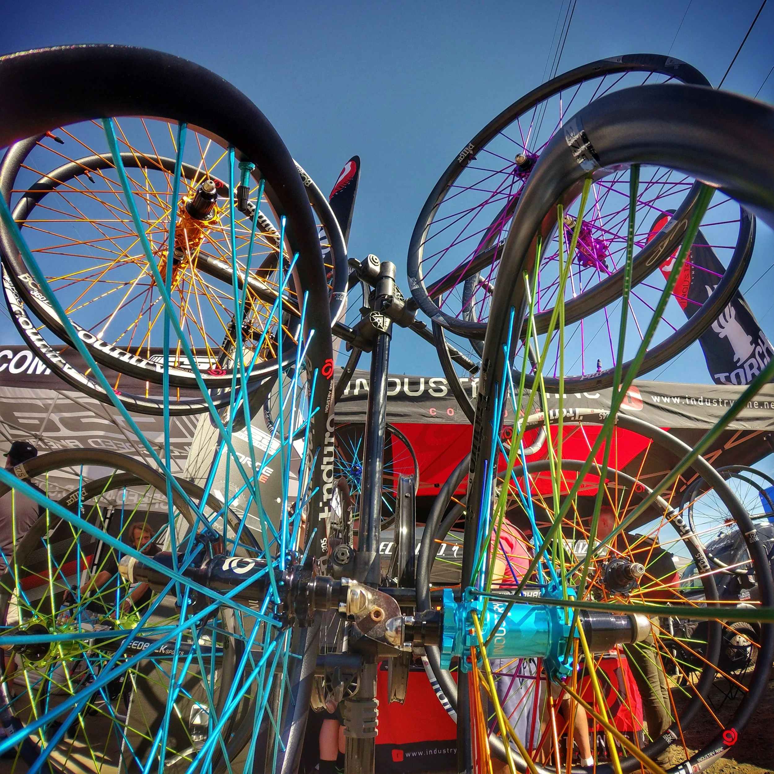 Gallery — Recycles Bike Shop