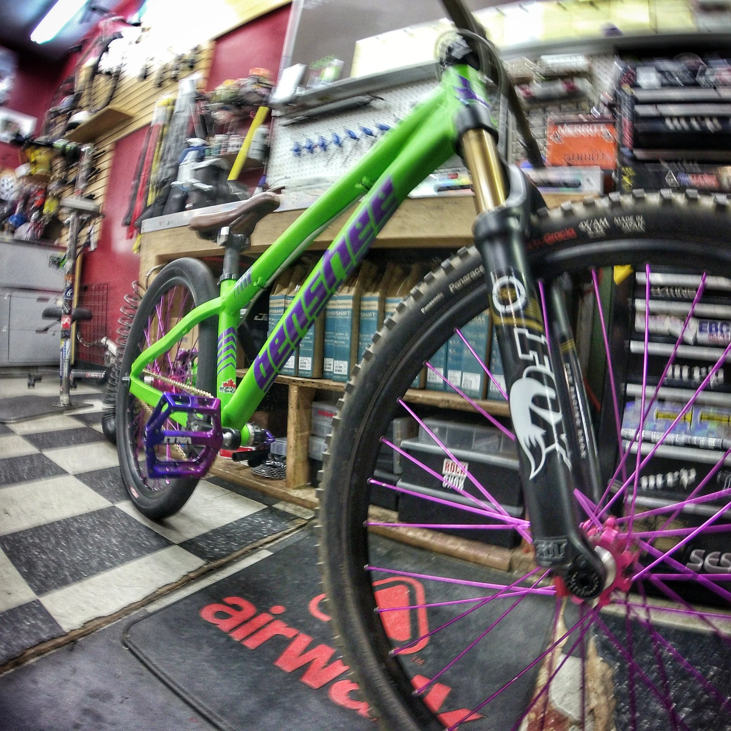 Gallery — Recycles Bike Shop