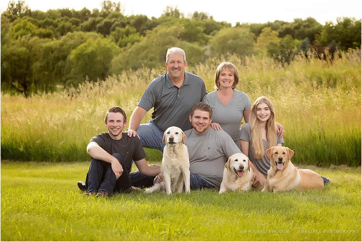 What Are The Members Of The Dog Family