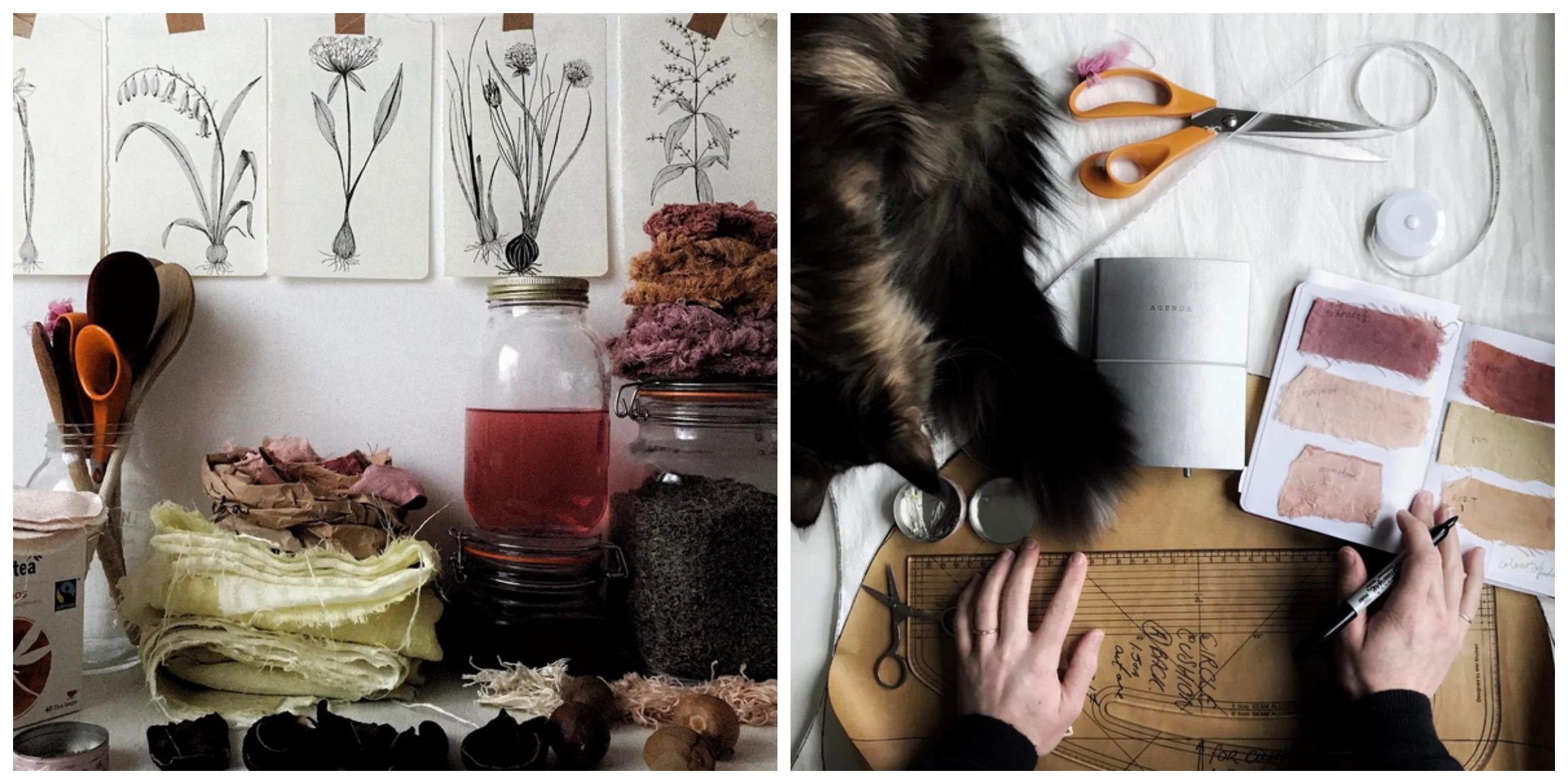 Creative in the Countryside: Botanical Threads — Creative Countryside