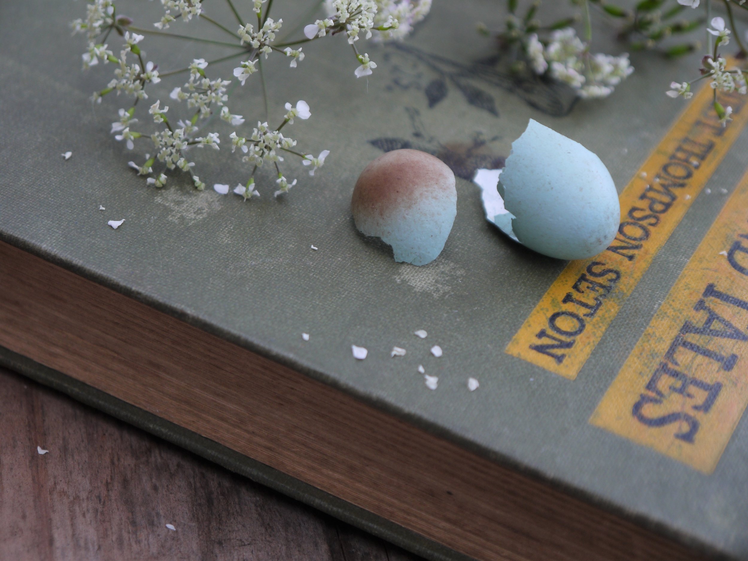 Creative in the Countryside: The Whispering Wild — Creative Countryside