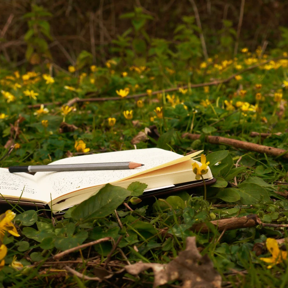 Creative in the Countryside: The Whispering Wild — Creative Countryside