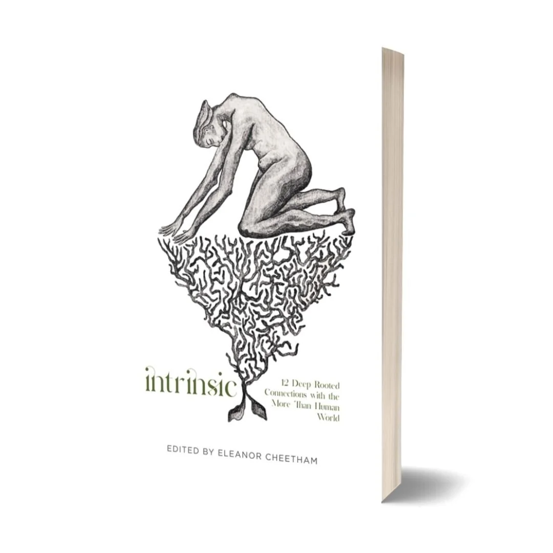 Intrinsic — Creative Countryside