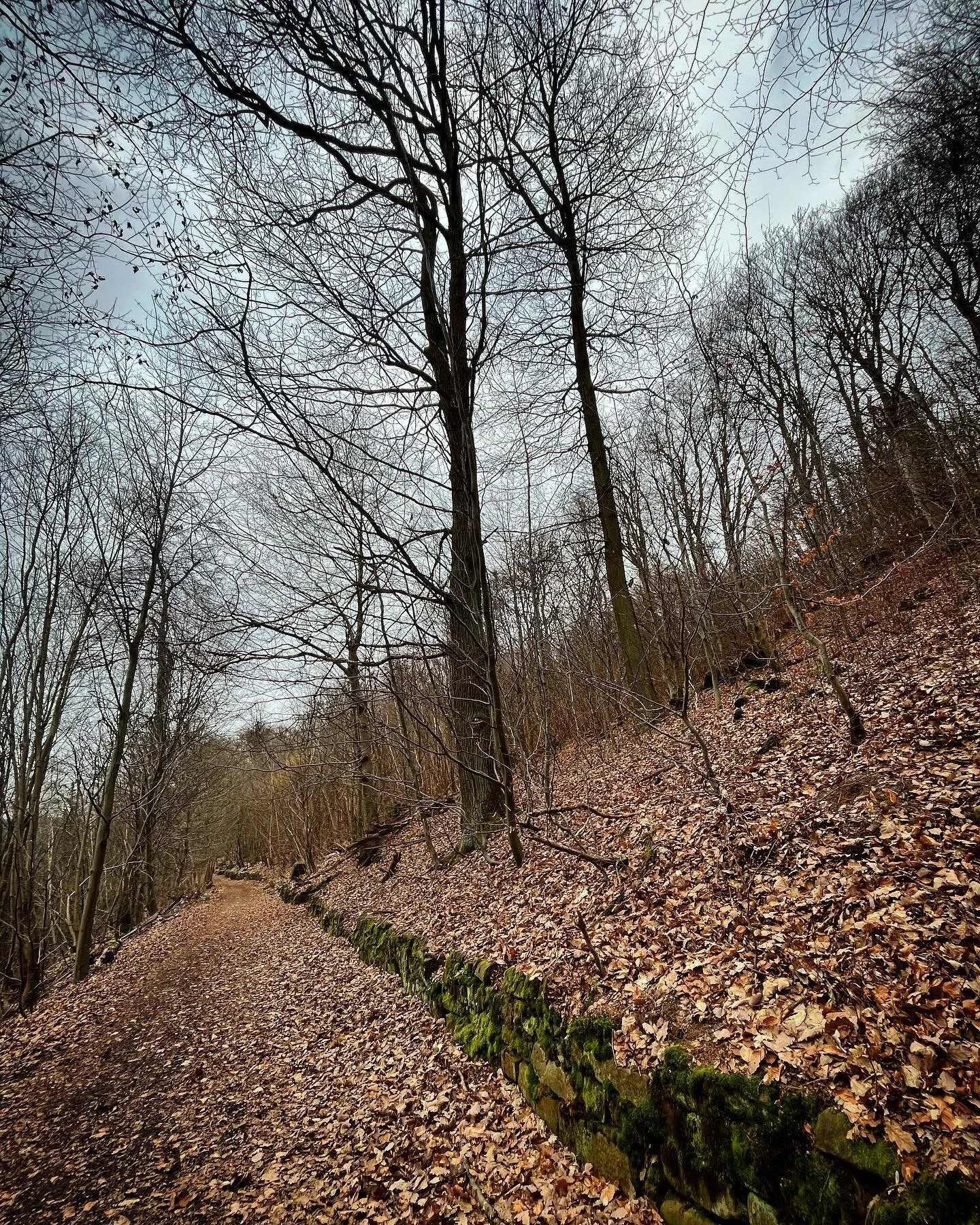 Anthony Teke Quickel