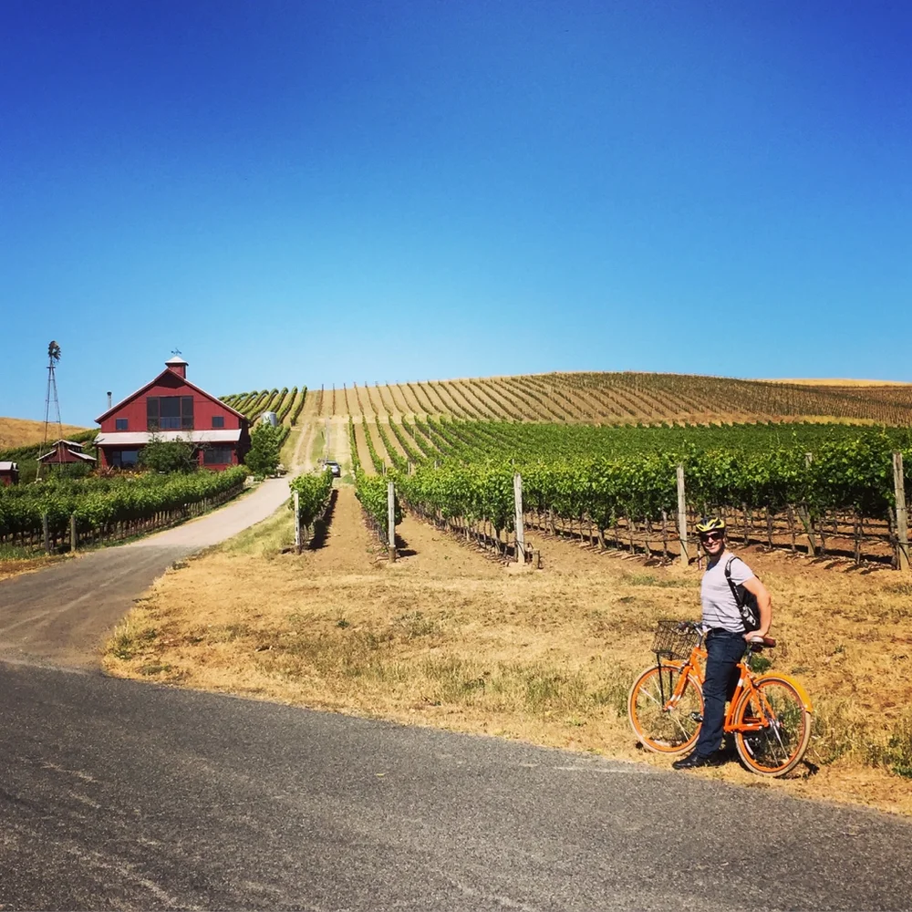 Napa Luxury at Carneros Inn — Sunshine and Rosé
