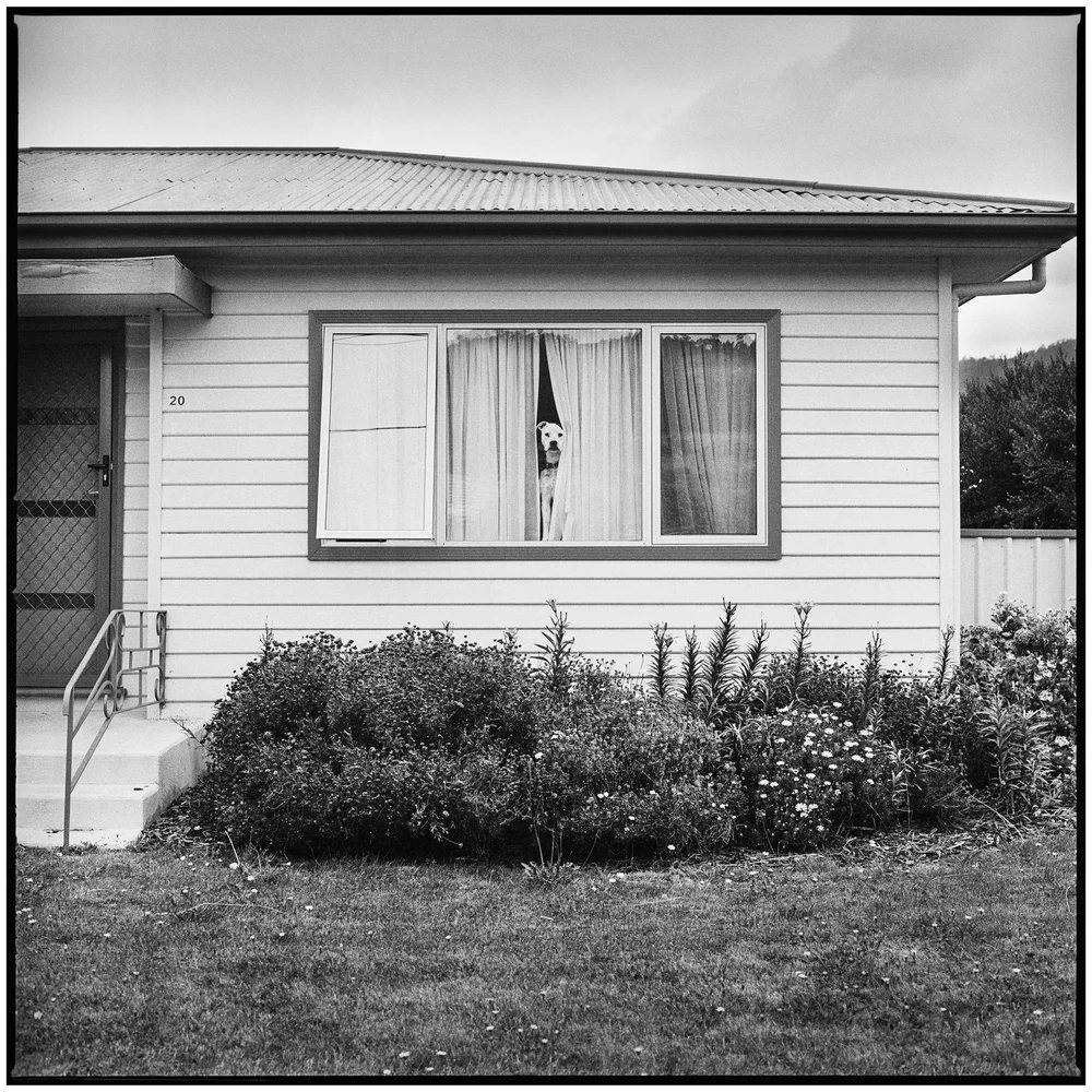 Mark Mohell — M16 Artspace