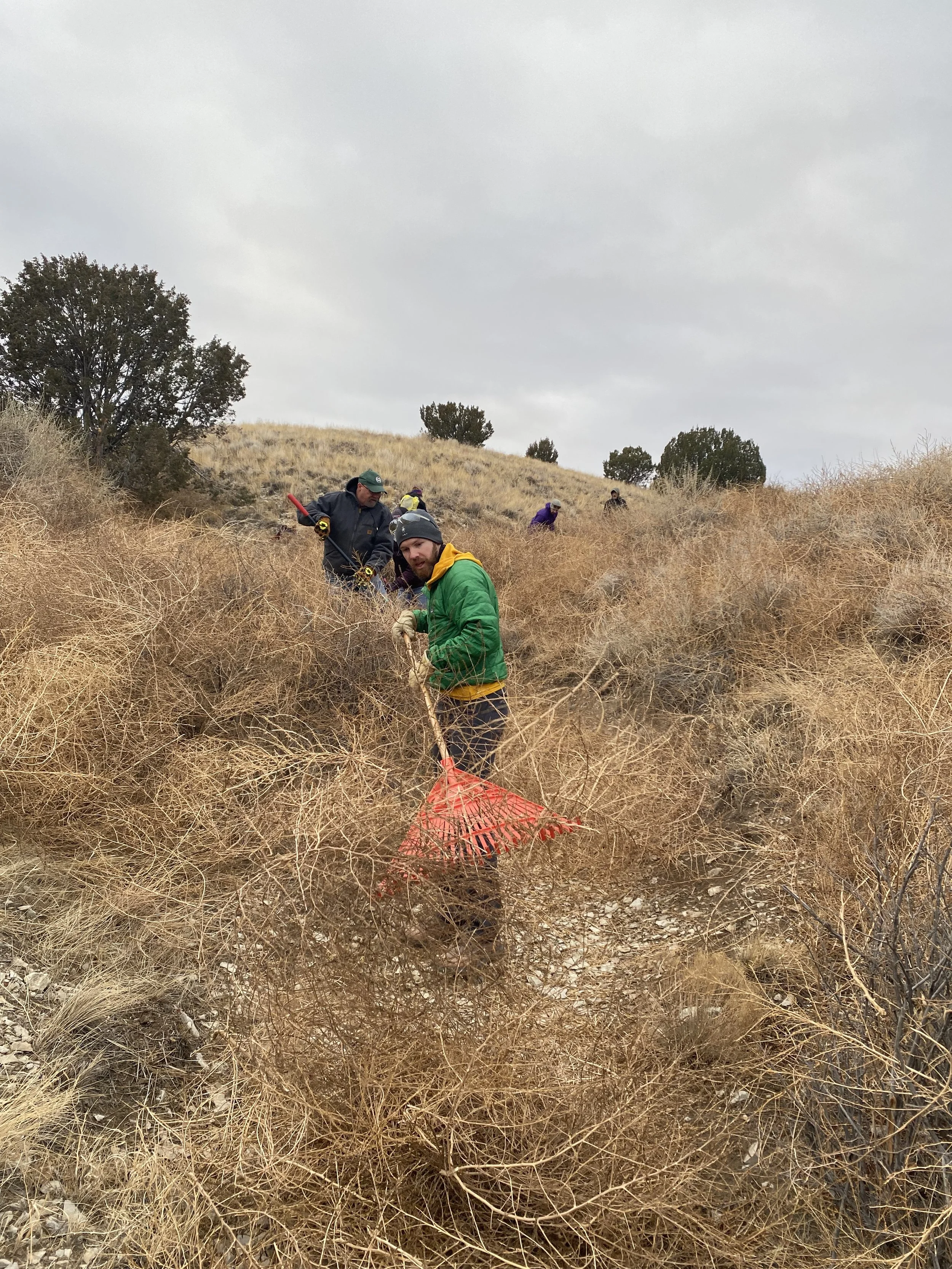 Trail Work Days — Southern Colorado Trail Builders