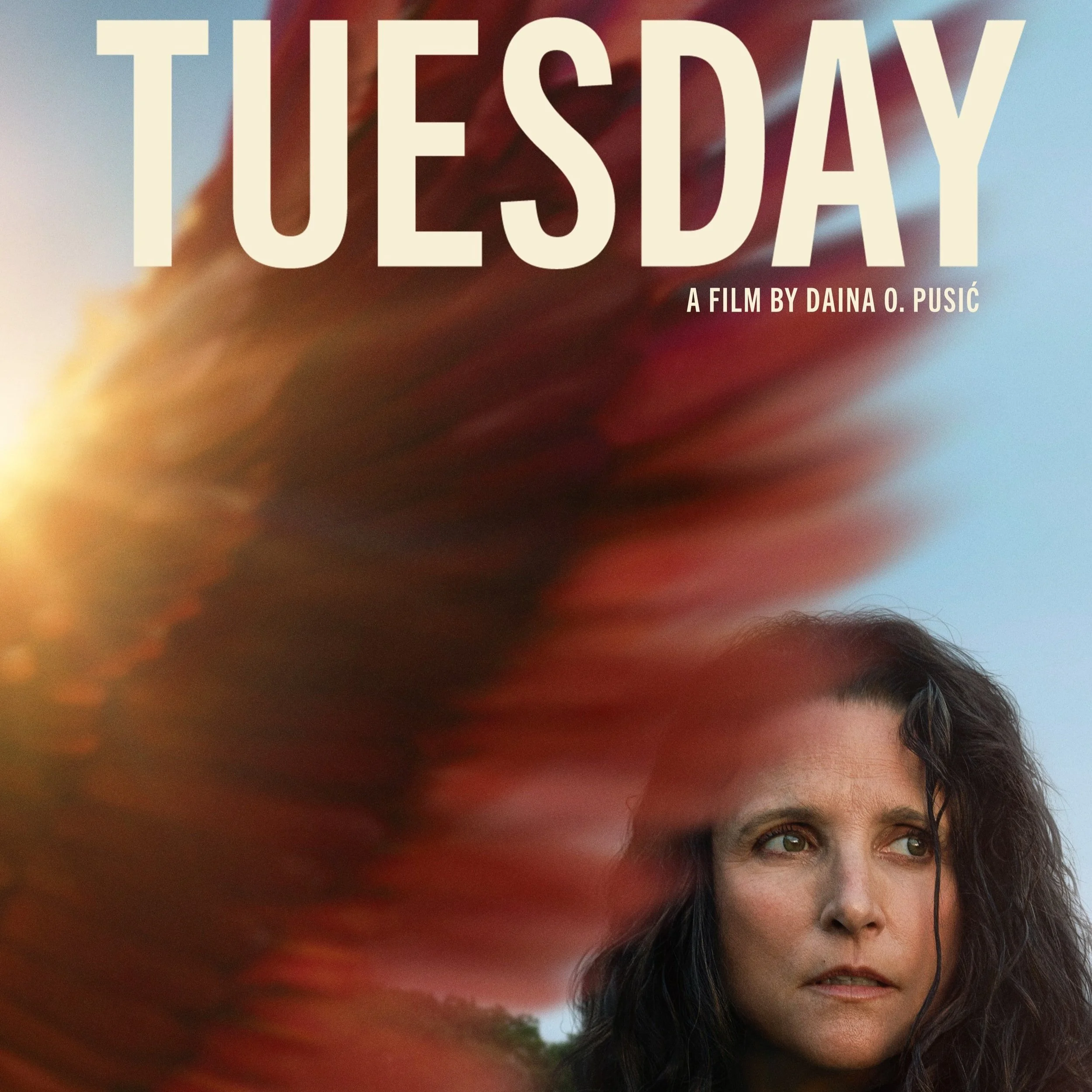 Robinson Film Center