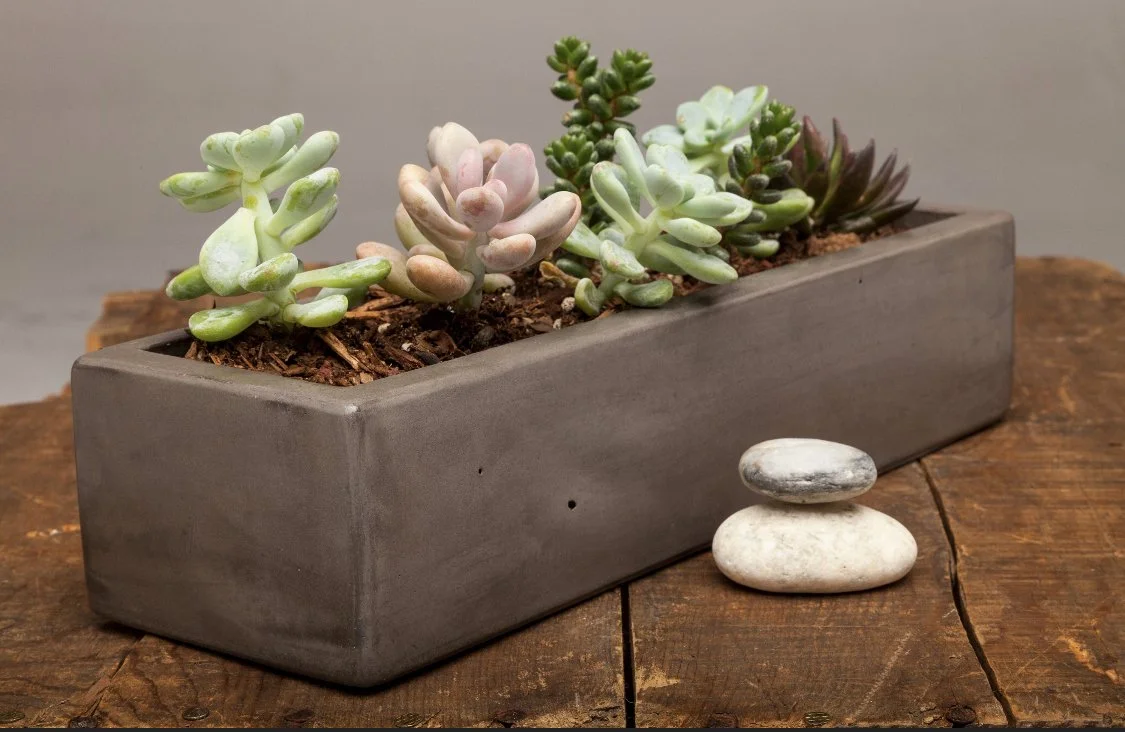 Handmade Luxury Rectangular Concrete Planter — Opusconcrete