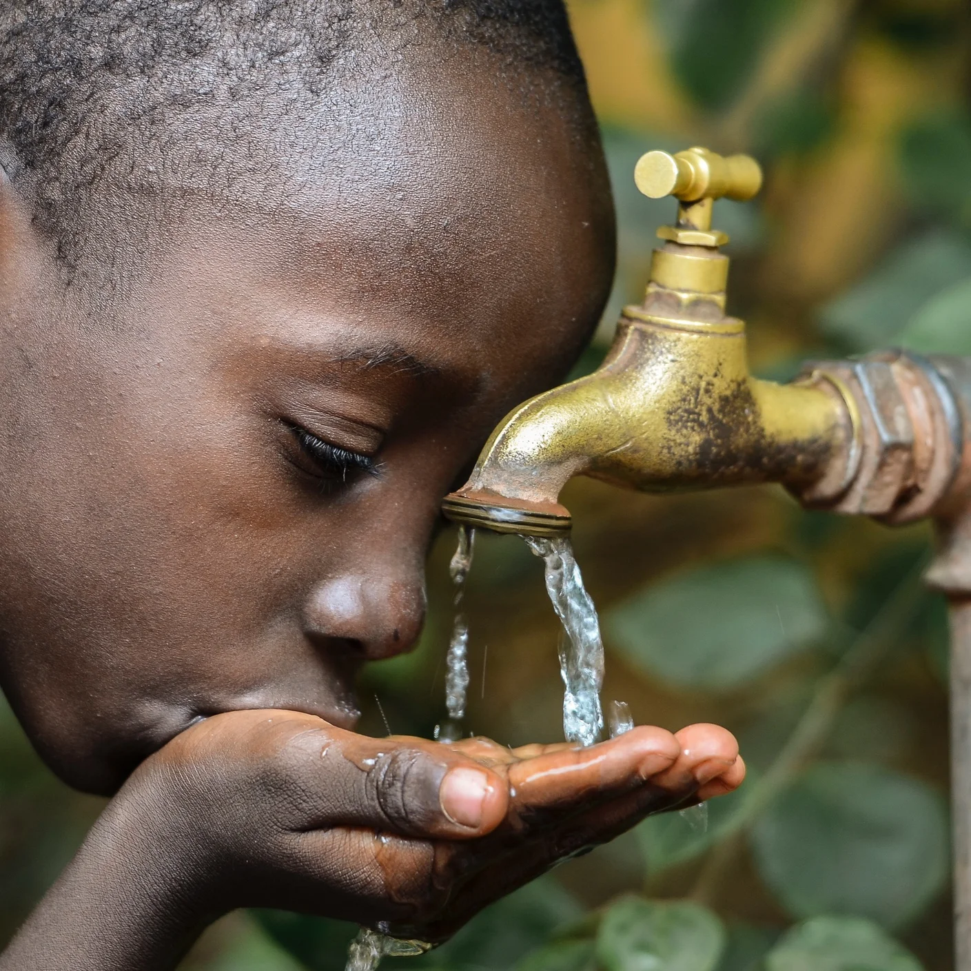 Sustainable Immunization Financing — ImmunizationEconomics.org