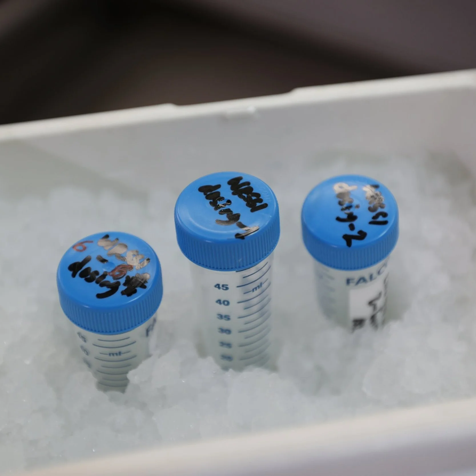 The potential economic impact of Shigella vaccines — ImmunizationEconomics.org