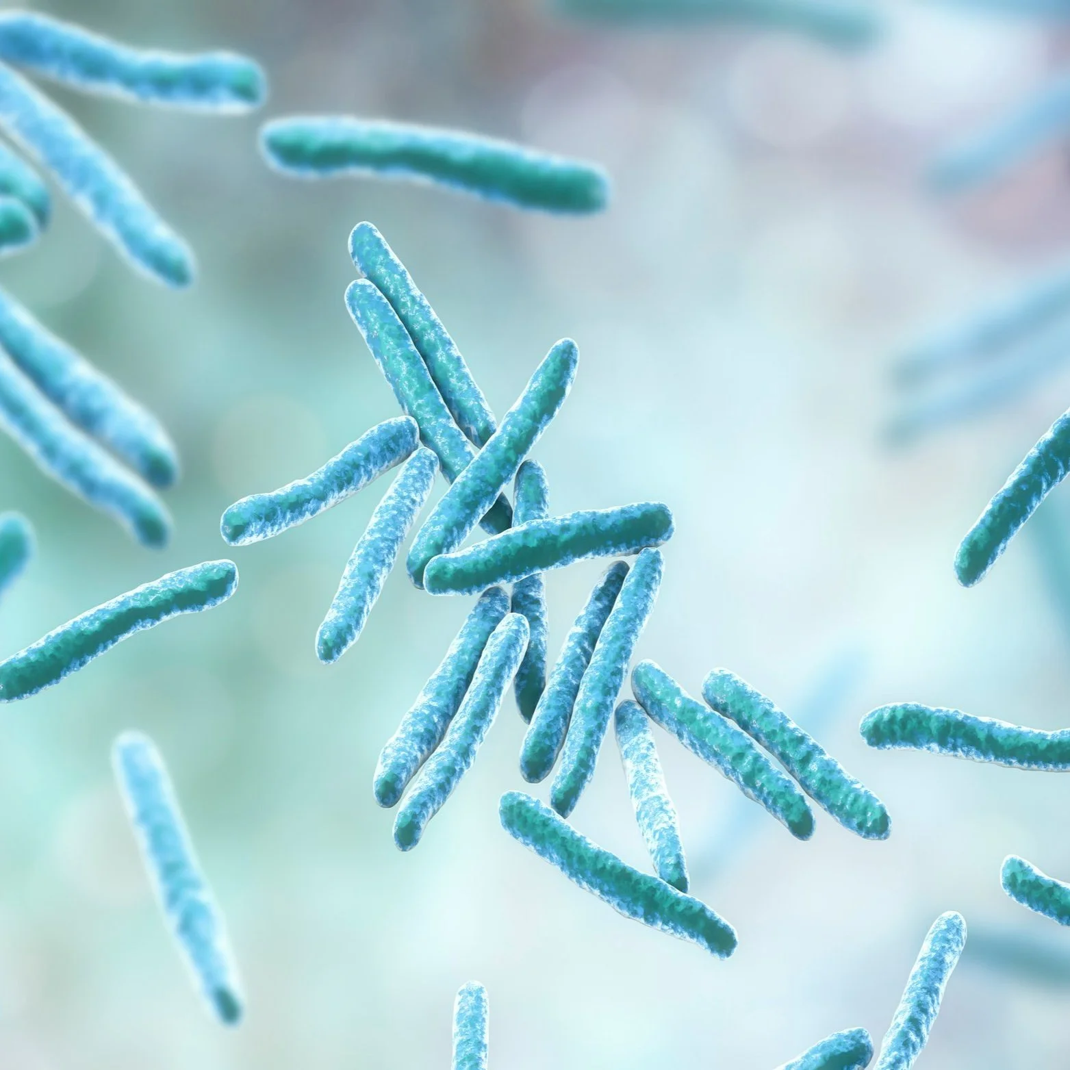 TB vaccine modelling study in LMICs — ImmunizationEconomics.org