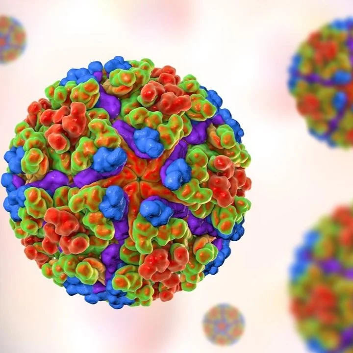 2023 — News — ImmunizationEconomics.org