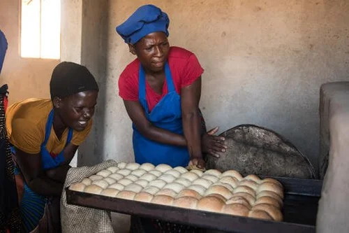 National Planning and Budgeting — ImmunizationEconomics.org