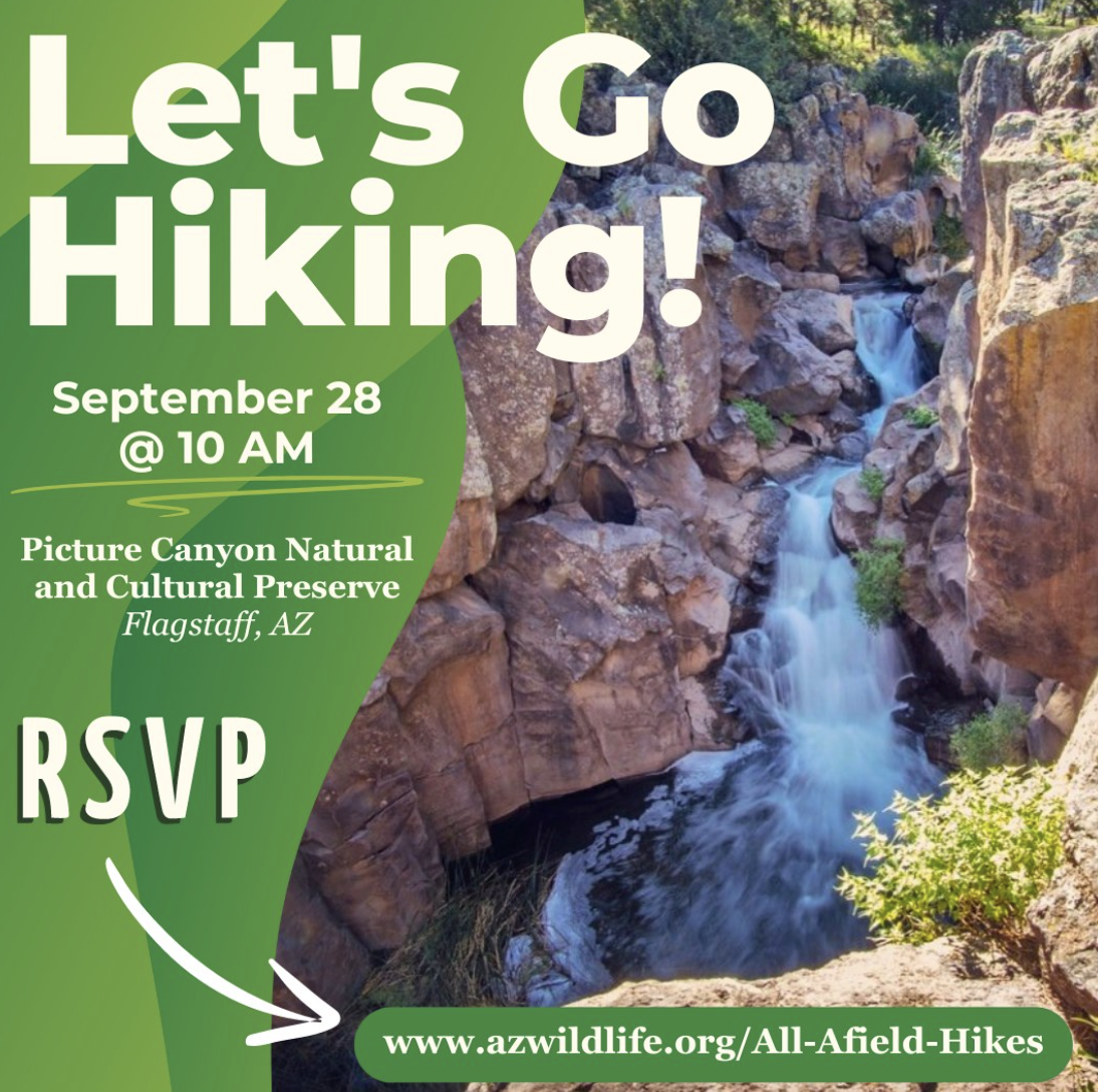 Celebrate National Public Lands Day with the Arizona Wildlife ...