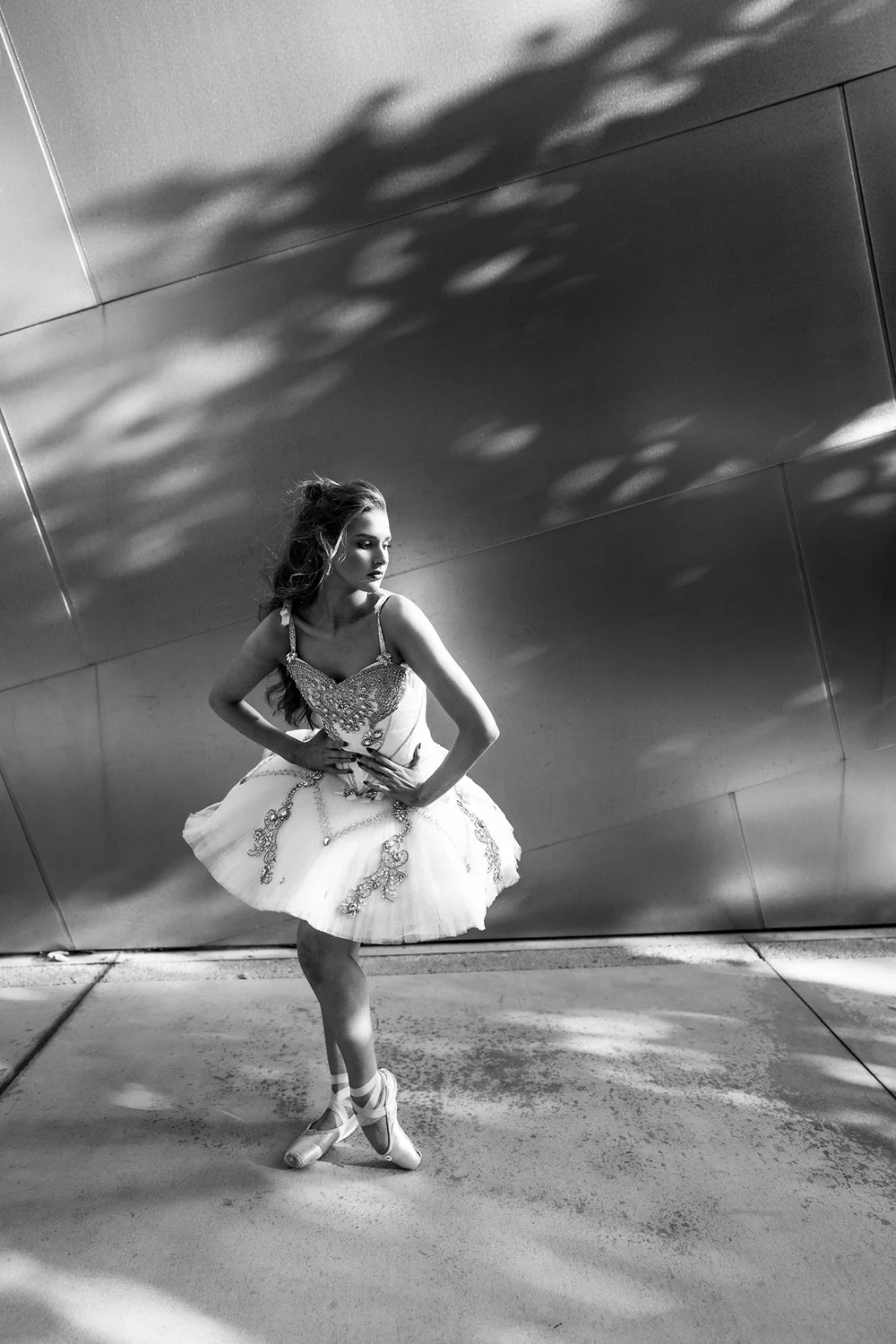 Zine — Ballet Zaida