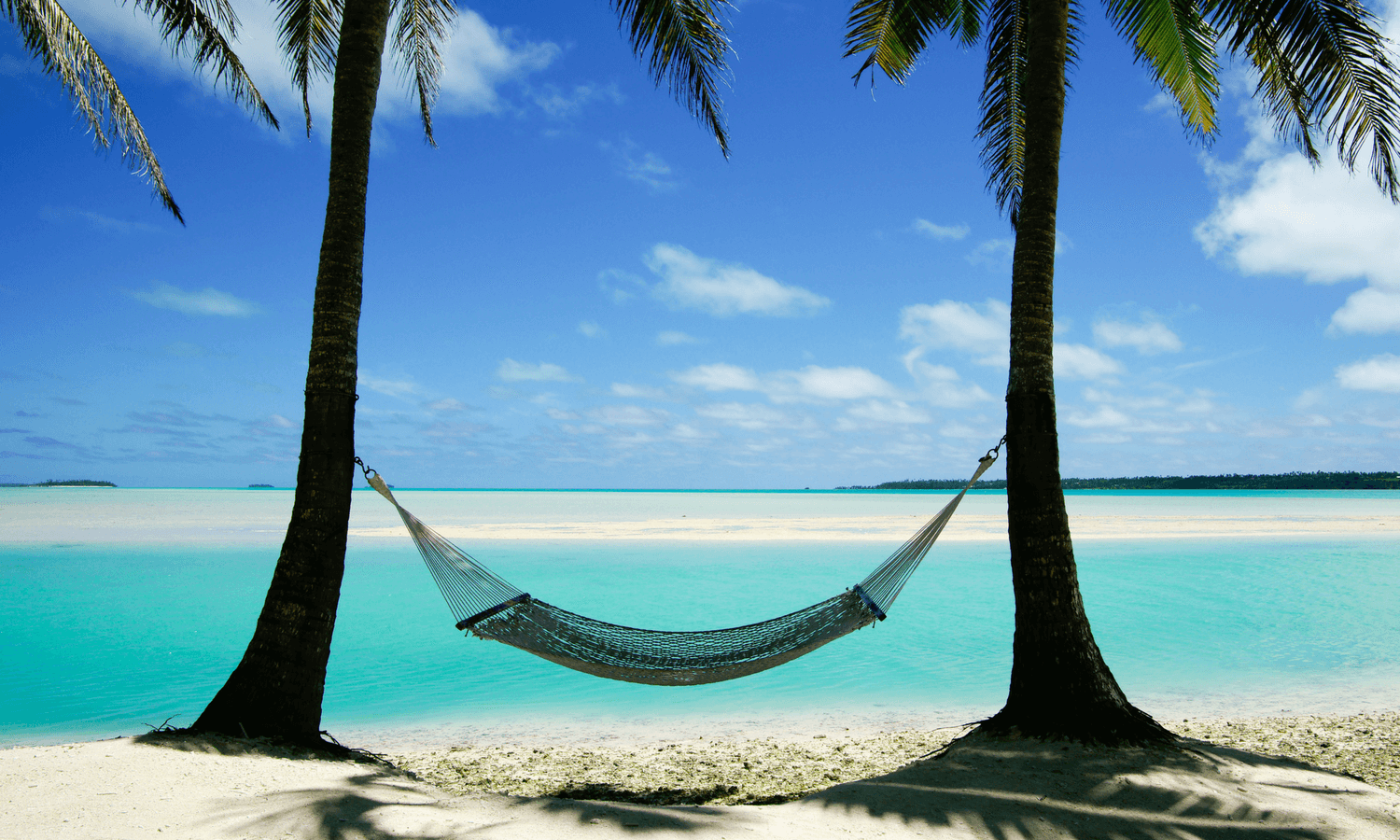 Canupy Content – Social Media Marketing and Copywriting