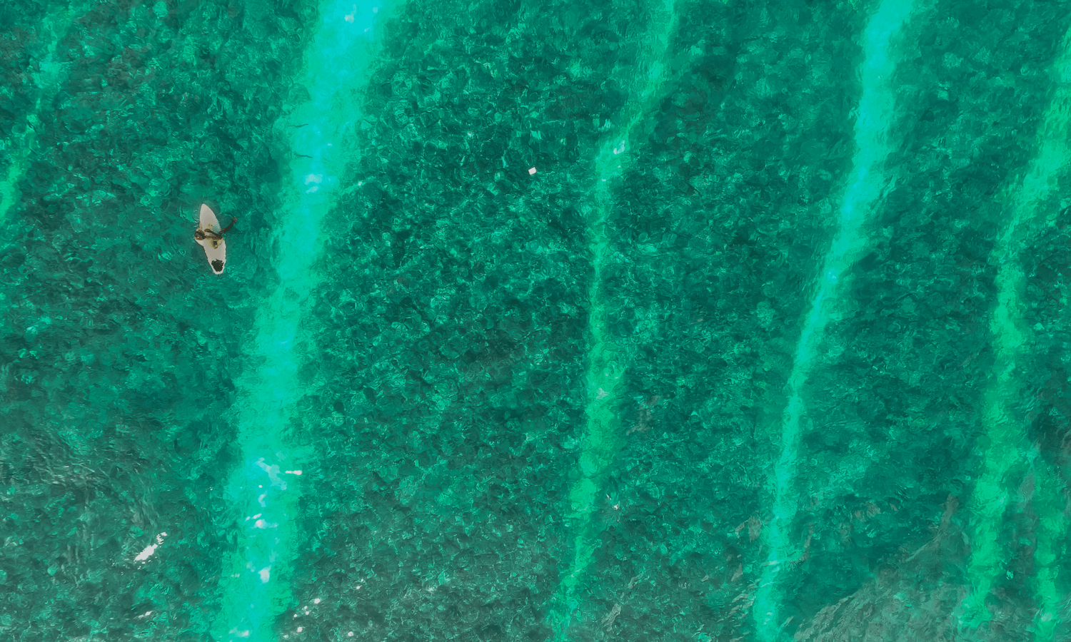 Canupy Content – Social Media Marketing and Copywriting