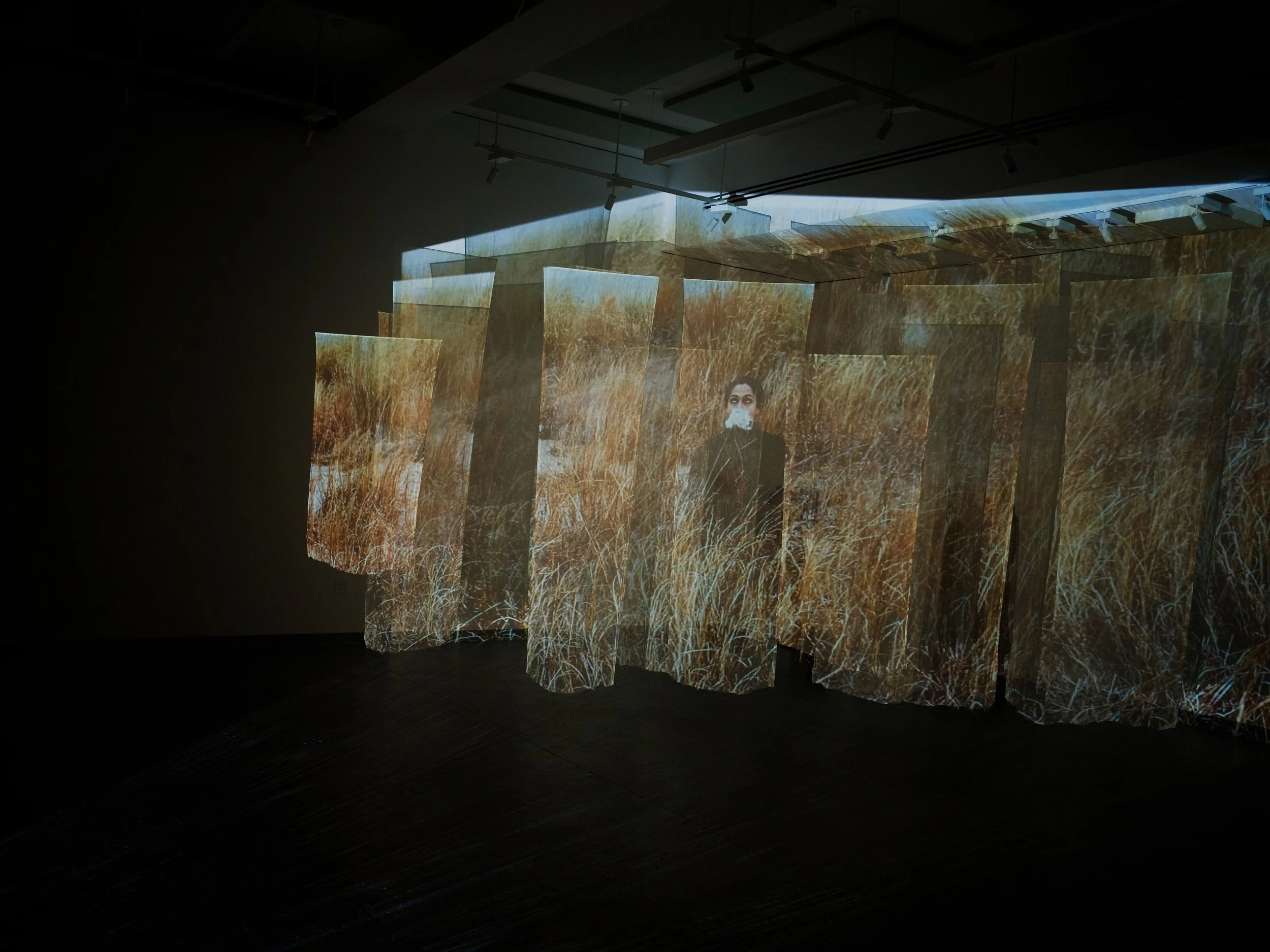 Current Work — Jessica Maffia