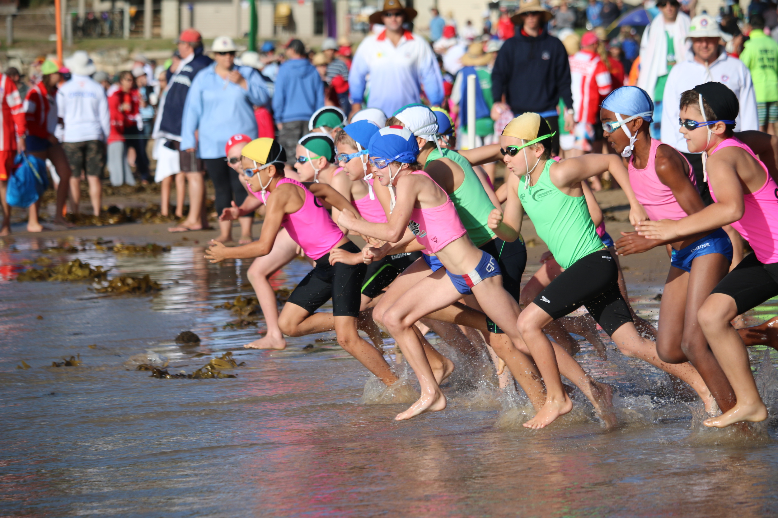 Nippers — Surf Life Saving SA