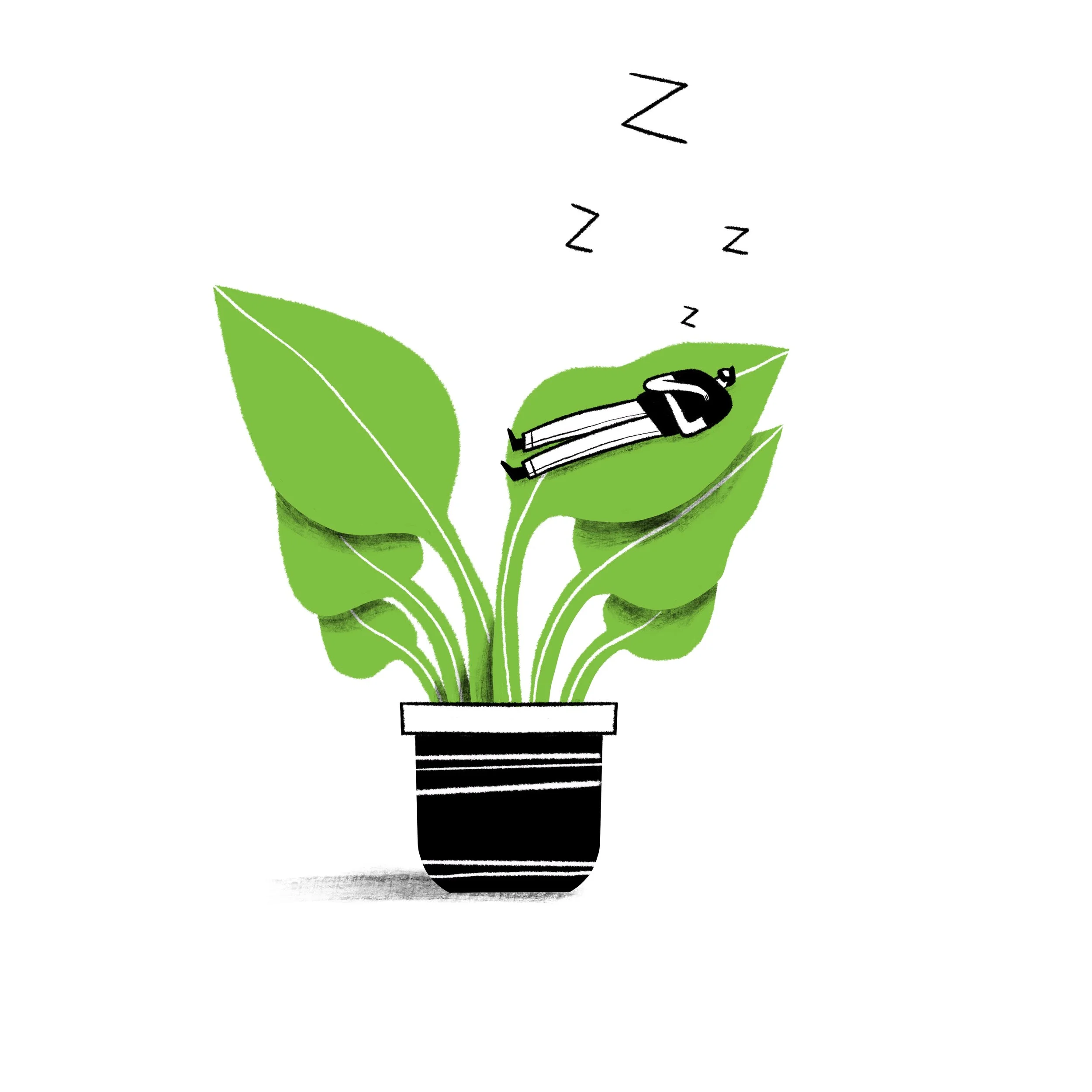 how-to-make-a-plant-love-you-mark-conlan-illustration