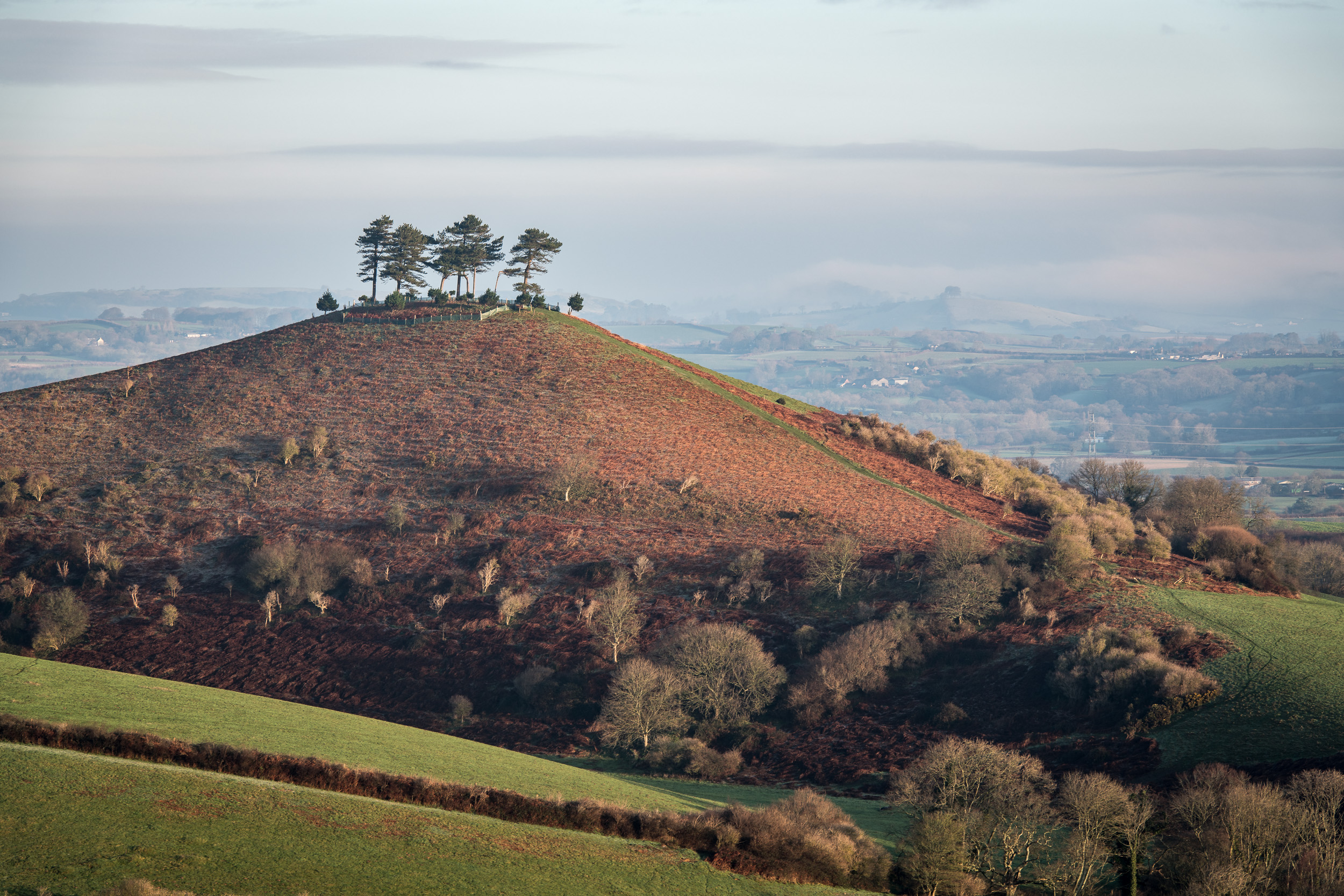 First Shoot of 2018: Colmer's Hill — Dartmoor Photography, Tuition and ...