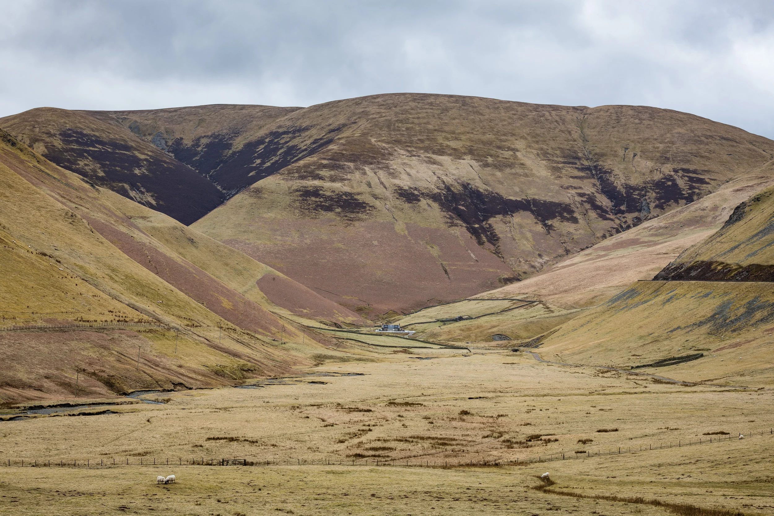 Dalveen Pass: A 5 Minute Photo Adventure — Dartmoor Photography Tuition ...