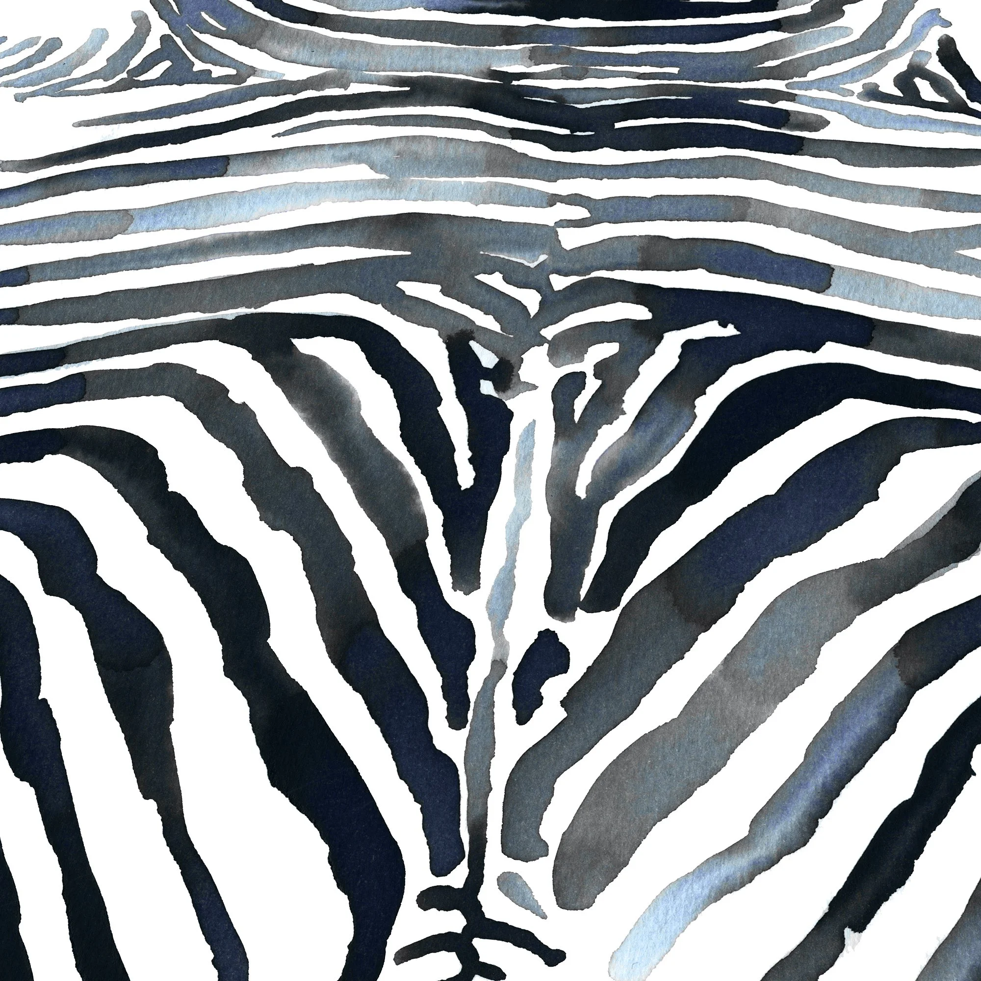 Sara Singh fashion illustrator