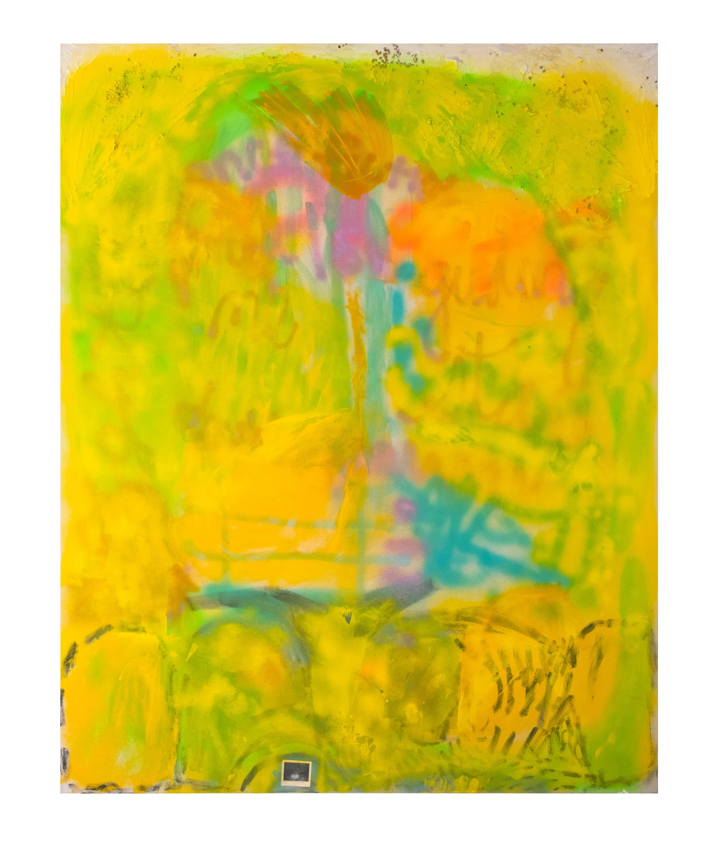 cult classic — Hannah Beerman