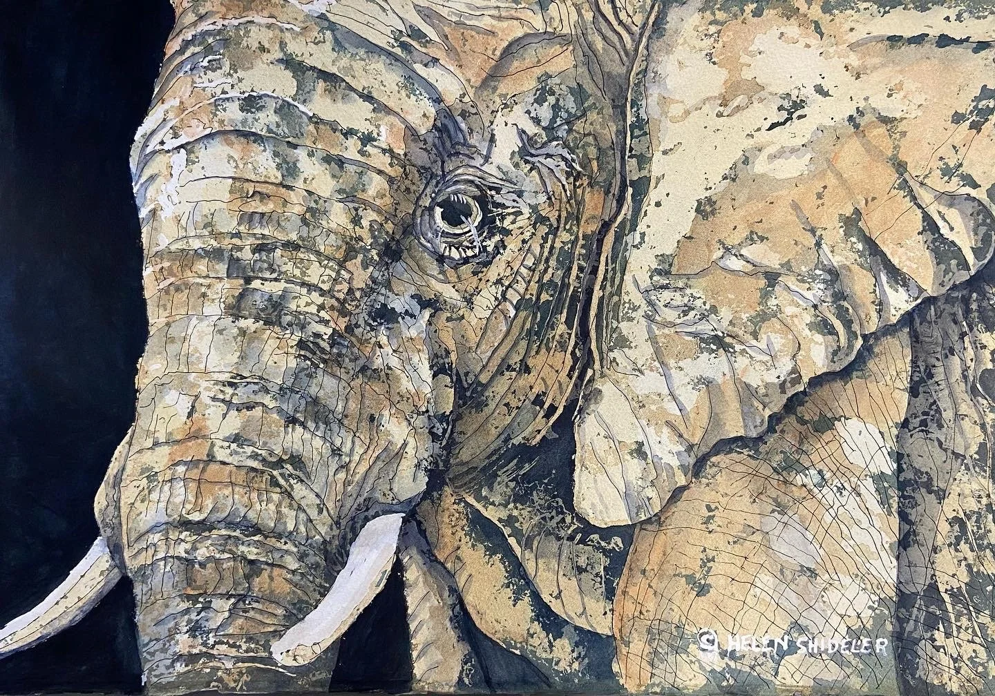 Helen Shideler Fine Art