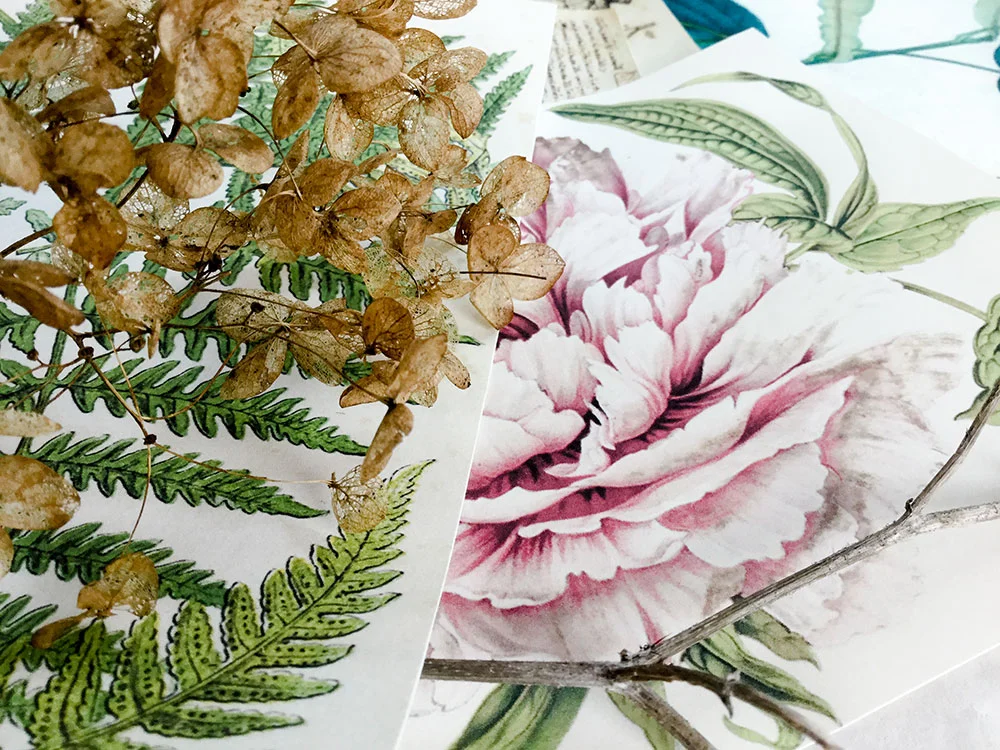 Around here lately — Laly Mille Mixed Media Art