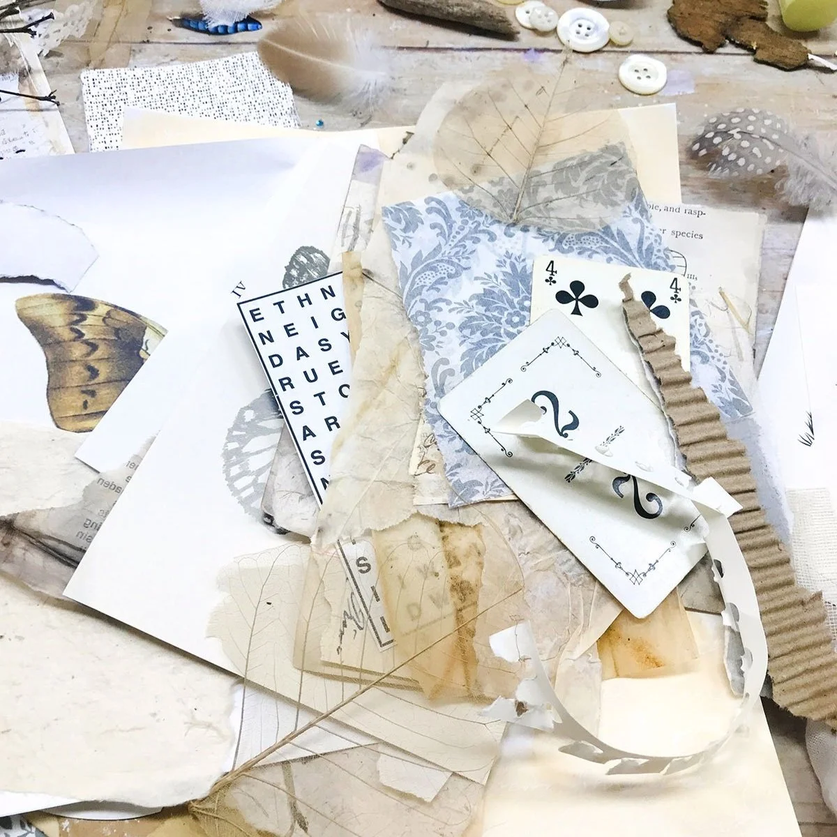 Naturalist collage — Laly Mille Mixed Media Art