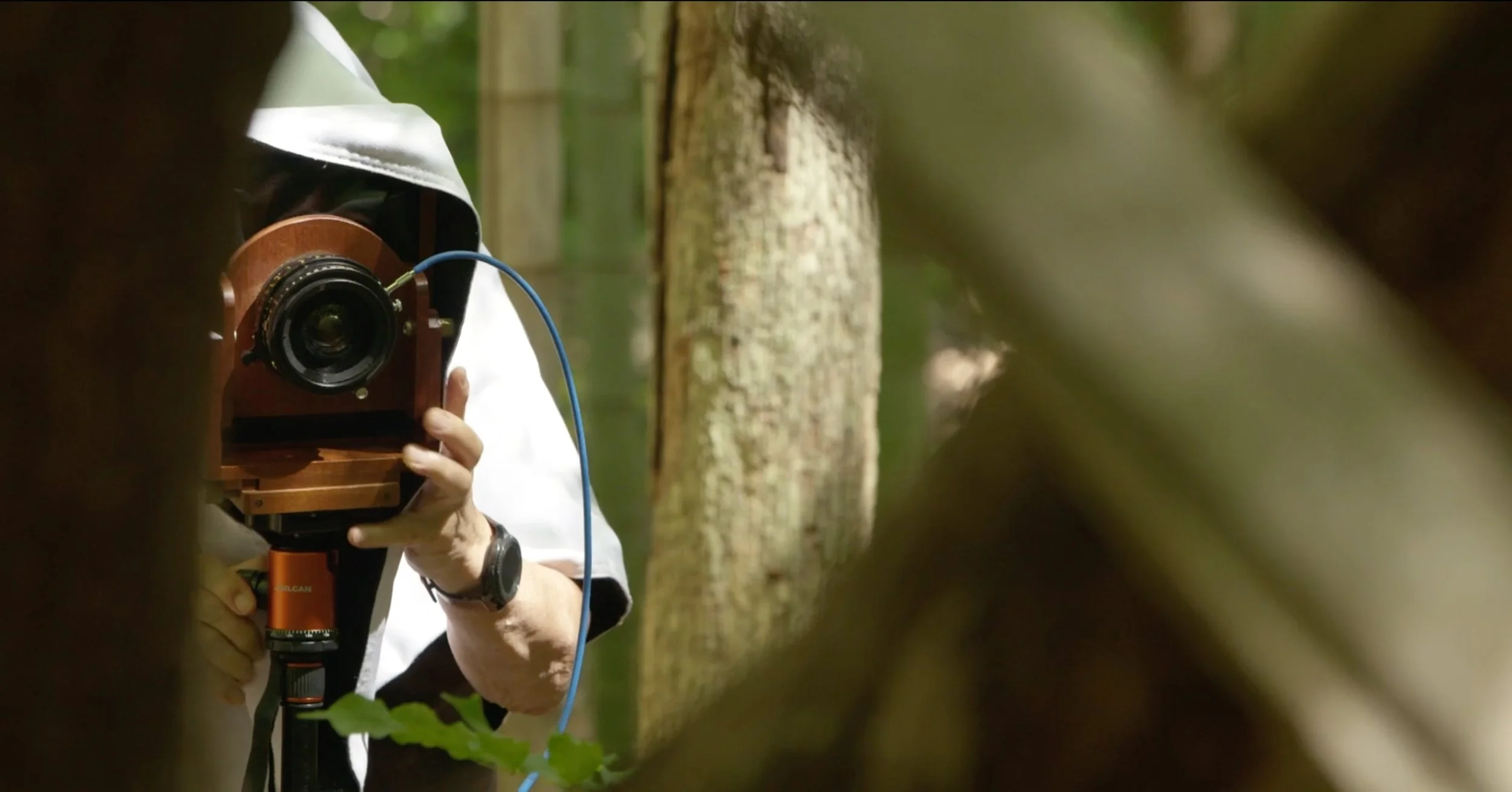 Sam Wang: Centripetal Persistence — Asian Pop-up Cinema