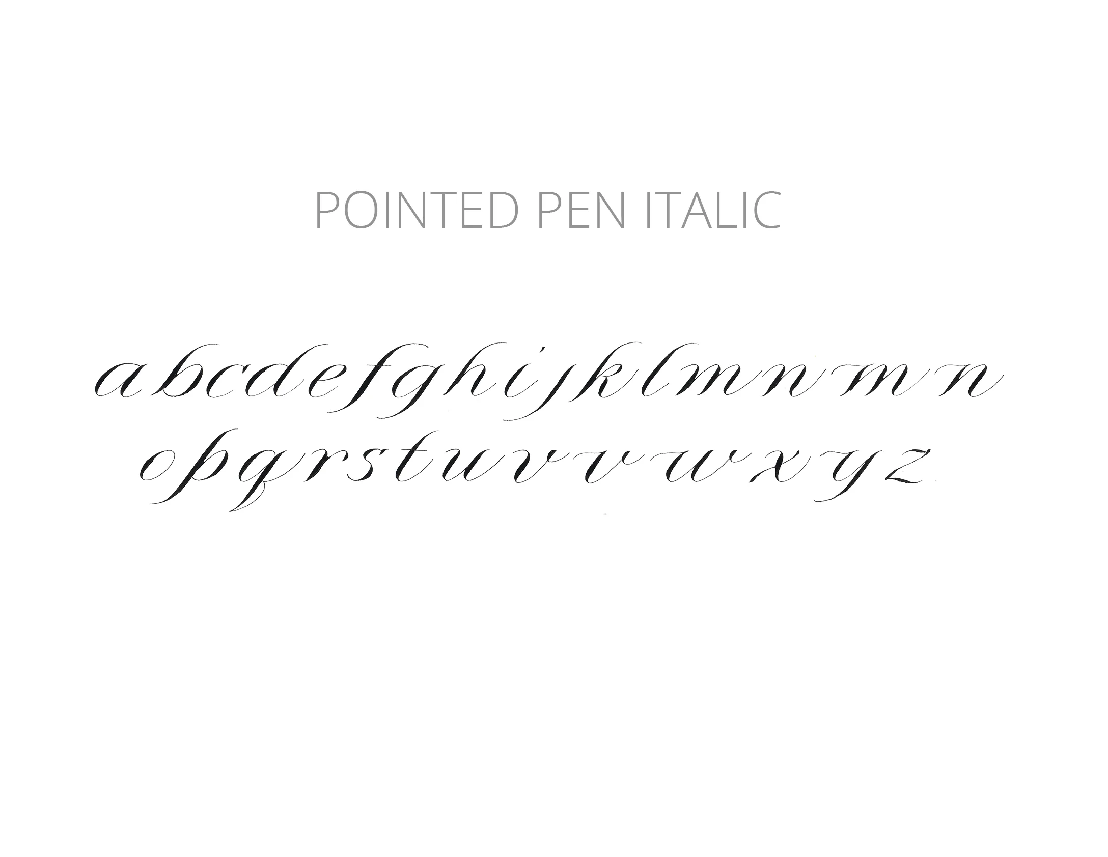 Lindsey Hook — Script Samples Gallery