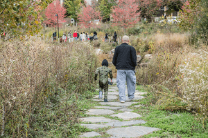 Mill River Park and Greenway — OLIN