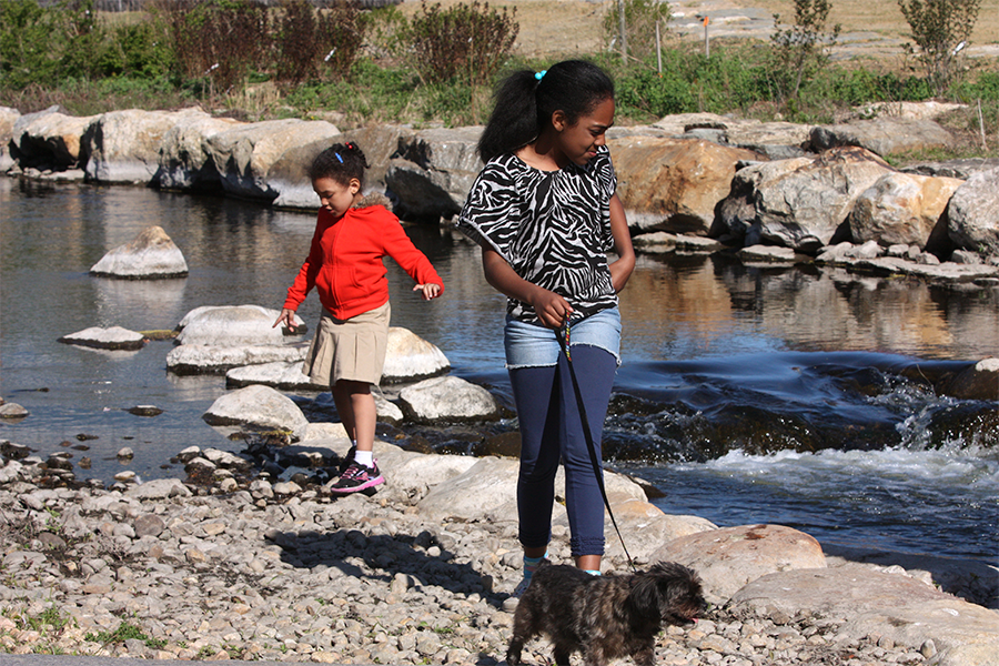 Mill River Park and Greenway — OLIN