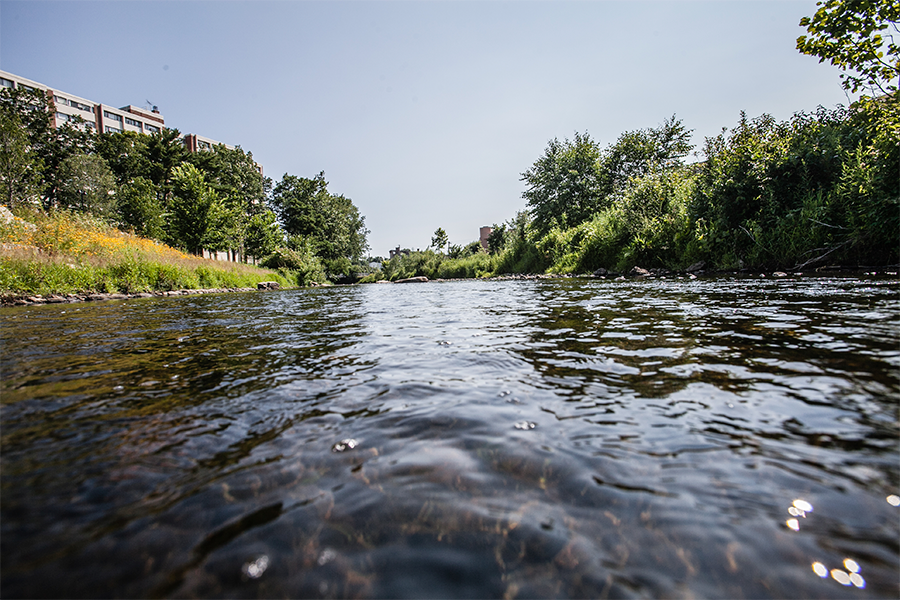 Mill River Park and Greenway — OLIN