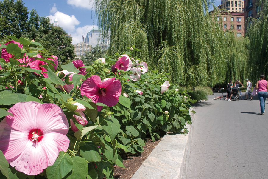 The Museum of Jewish Heritage — OLIN