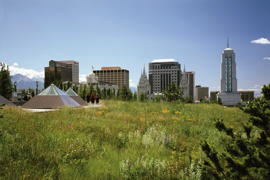 LDS Conference Center — OLIN