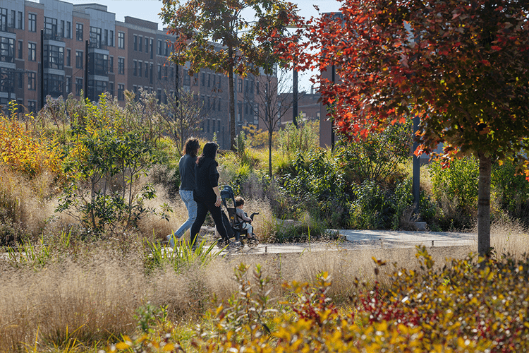 ResilienCity Park — OLIN