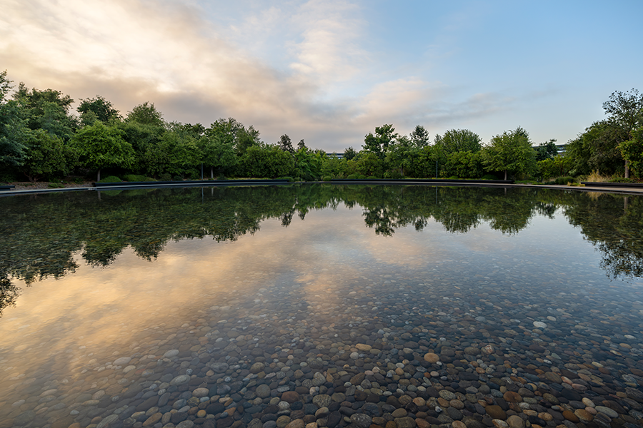 Apple Park — OLIN