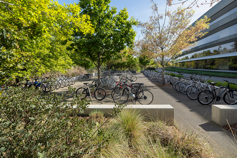 Apple Park — OLIN