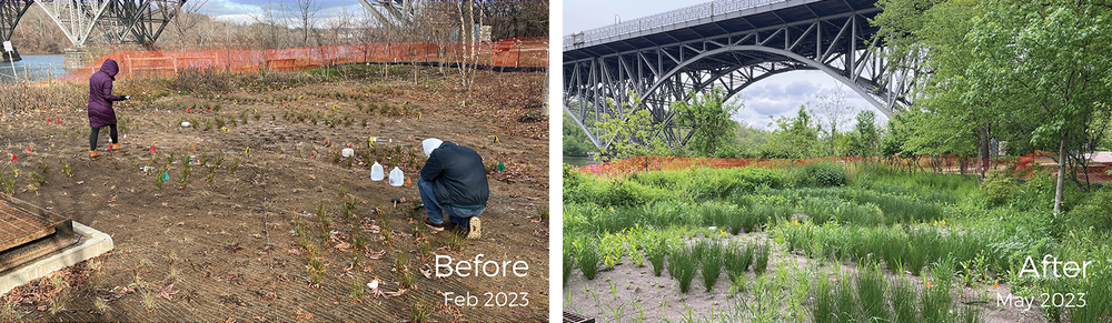 Sustainable Business Network of Greater Philadelphia Excellence in Innovation GSI Award — OLIN