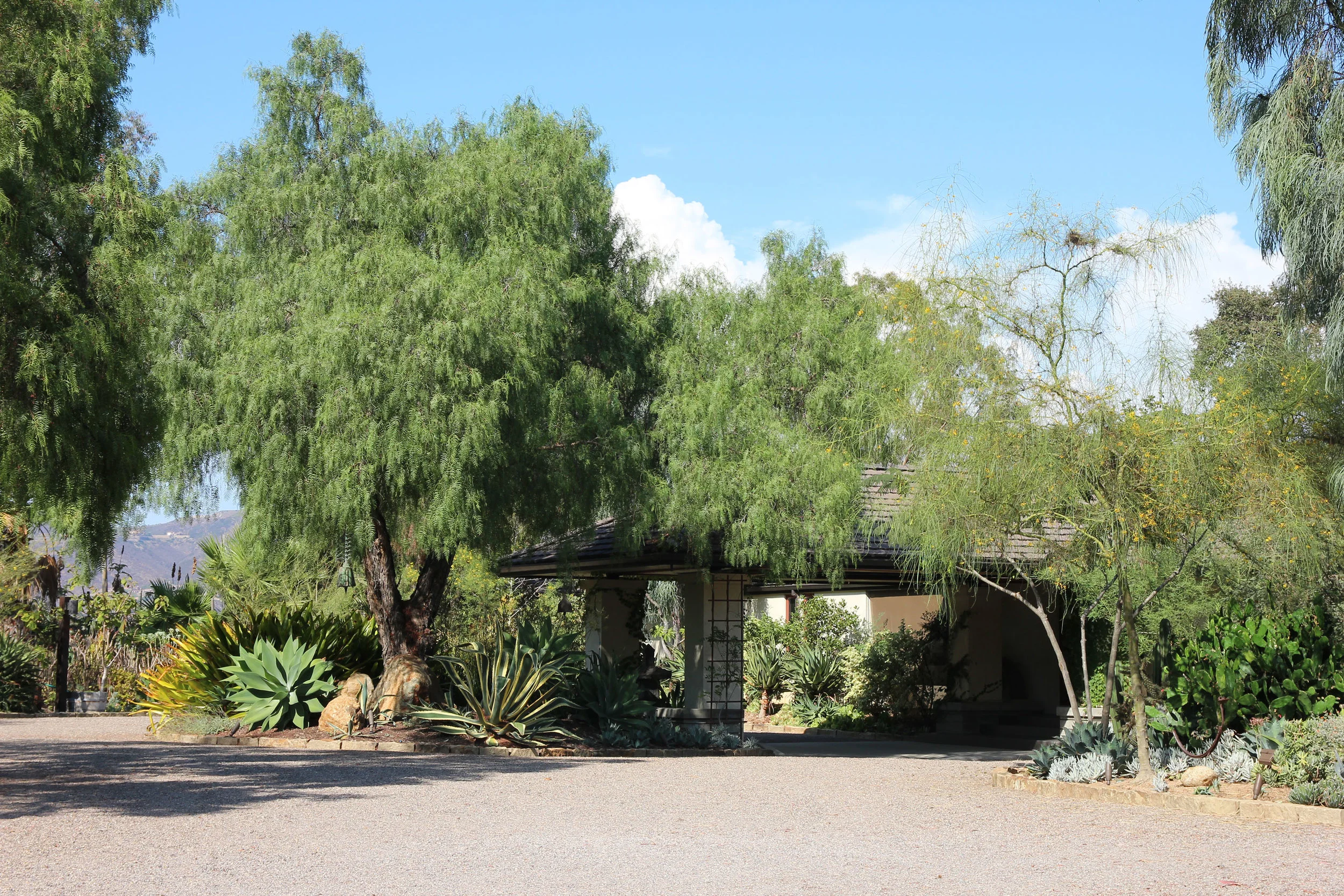 San Diego Ranch — Artecho