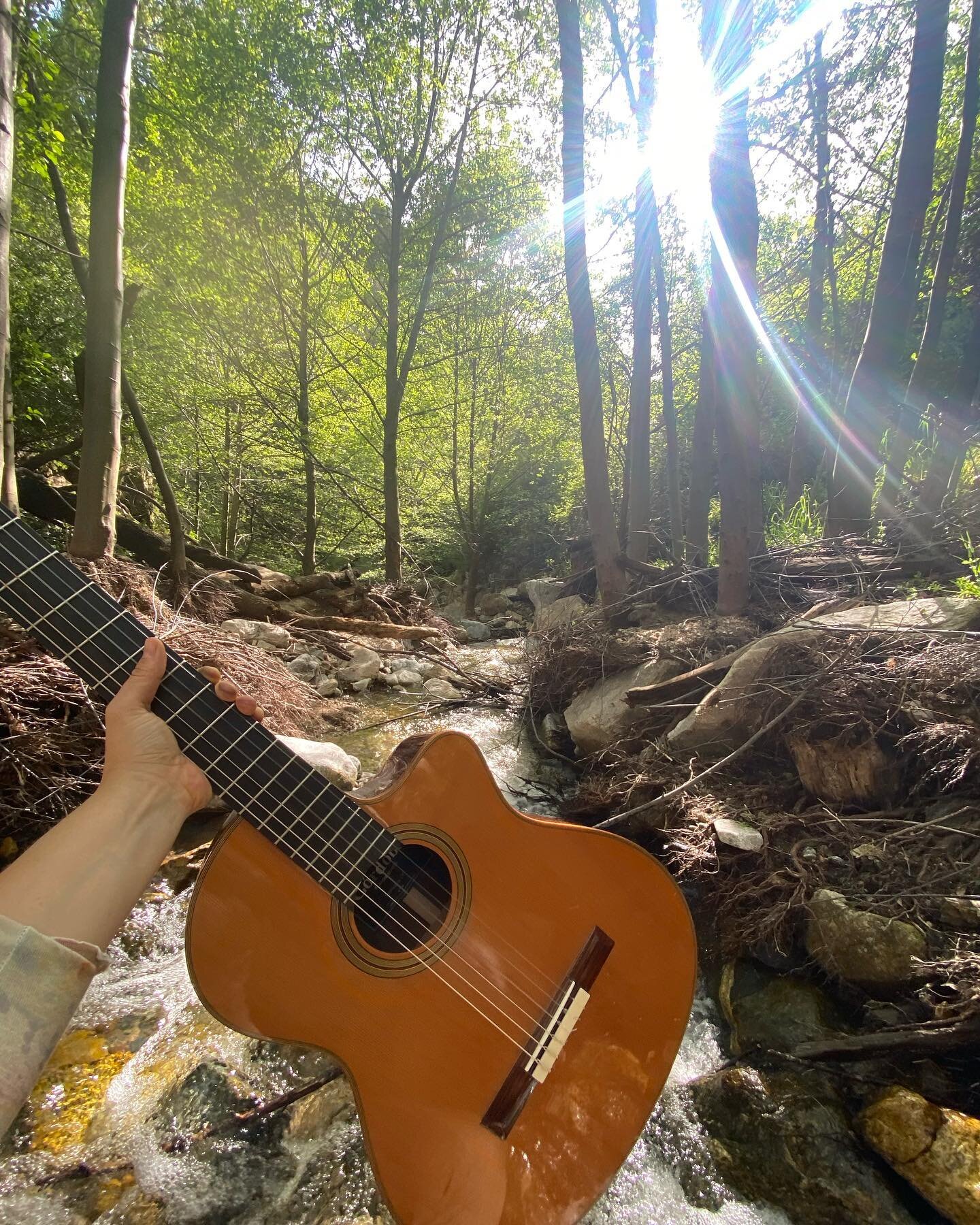 Media — emily elbert